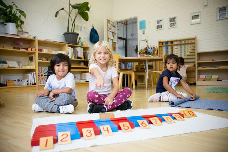 Integrated Curriculum